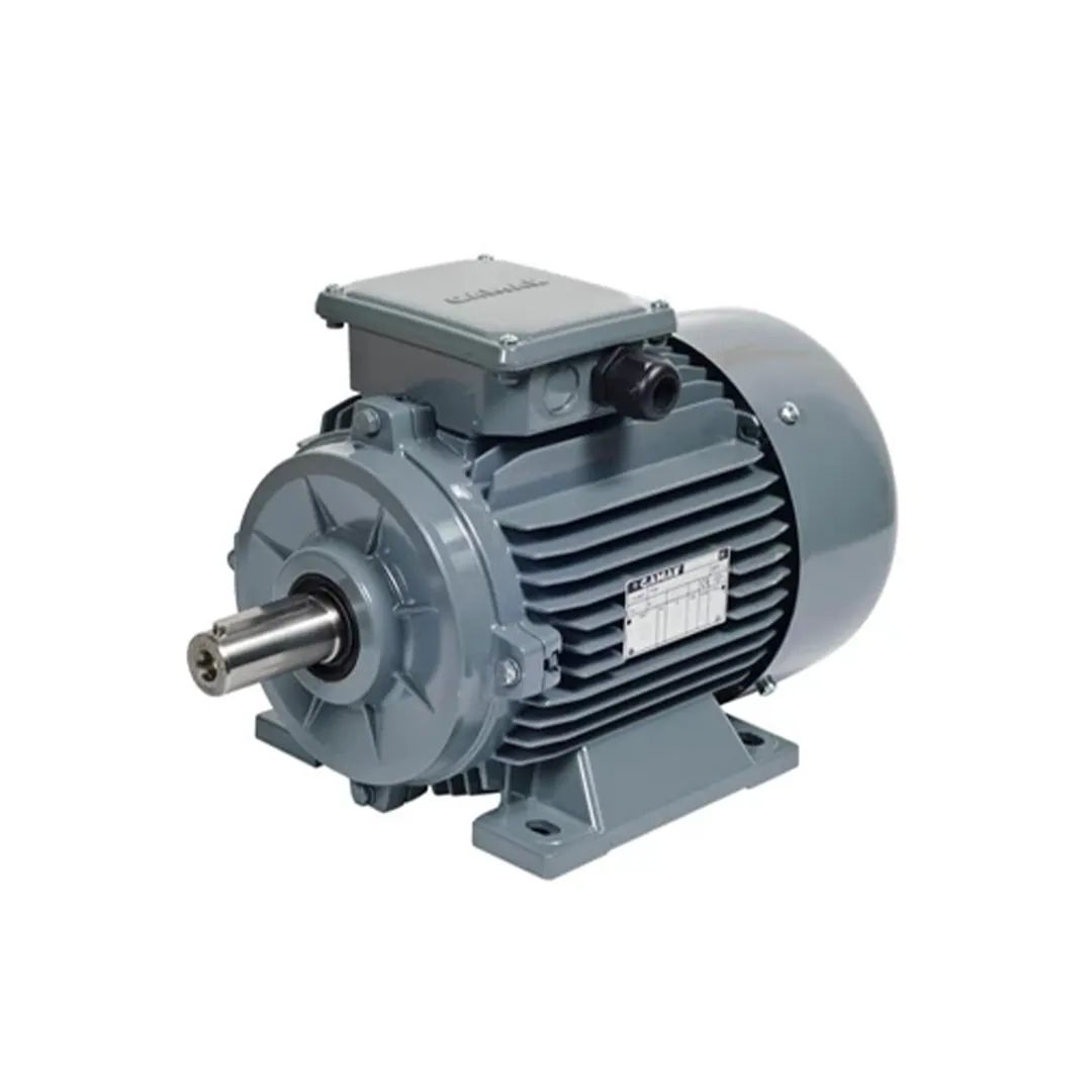 Motor electric AGMEL 100 L 4B 3 kW 230/400 V 0 - 1500 rot/min Talpă ...